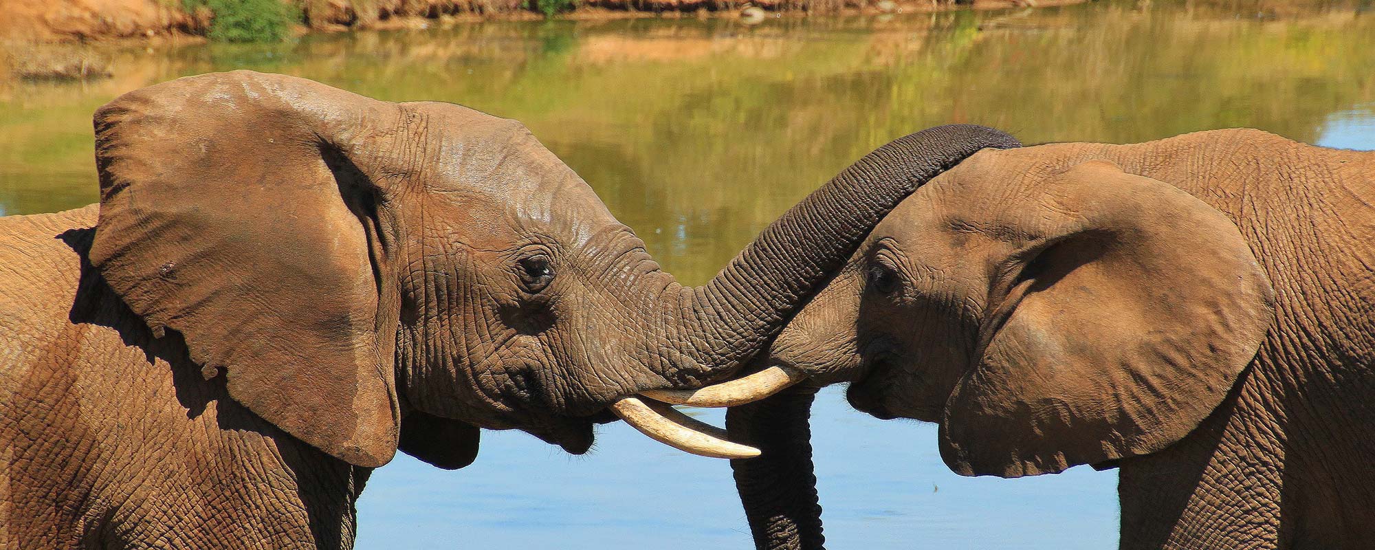 Mpumalanga – African Spiral